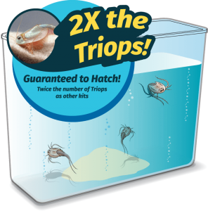 Triops World | Triops World Kit